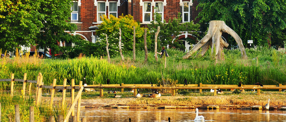 Forest Gate & Manor Park area guide | Petty Son and Prestwich Estate Agents