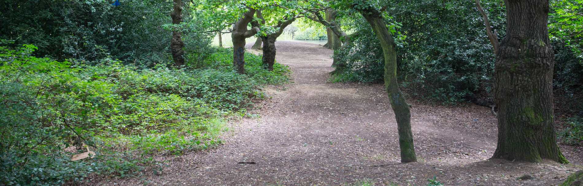 Epping Forest Centenary Walk: Take A Ramble Through Petty's Patch