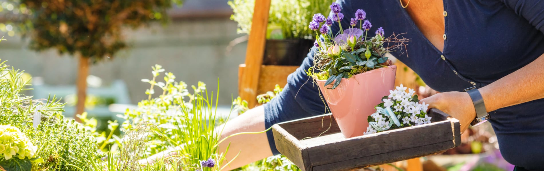 How to Garden When You're Renting